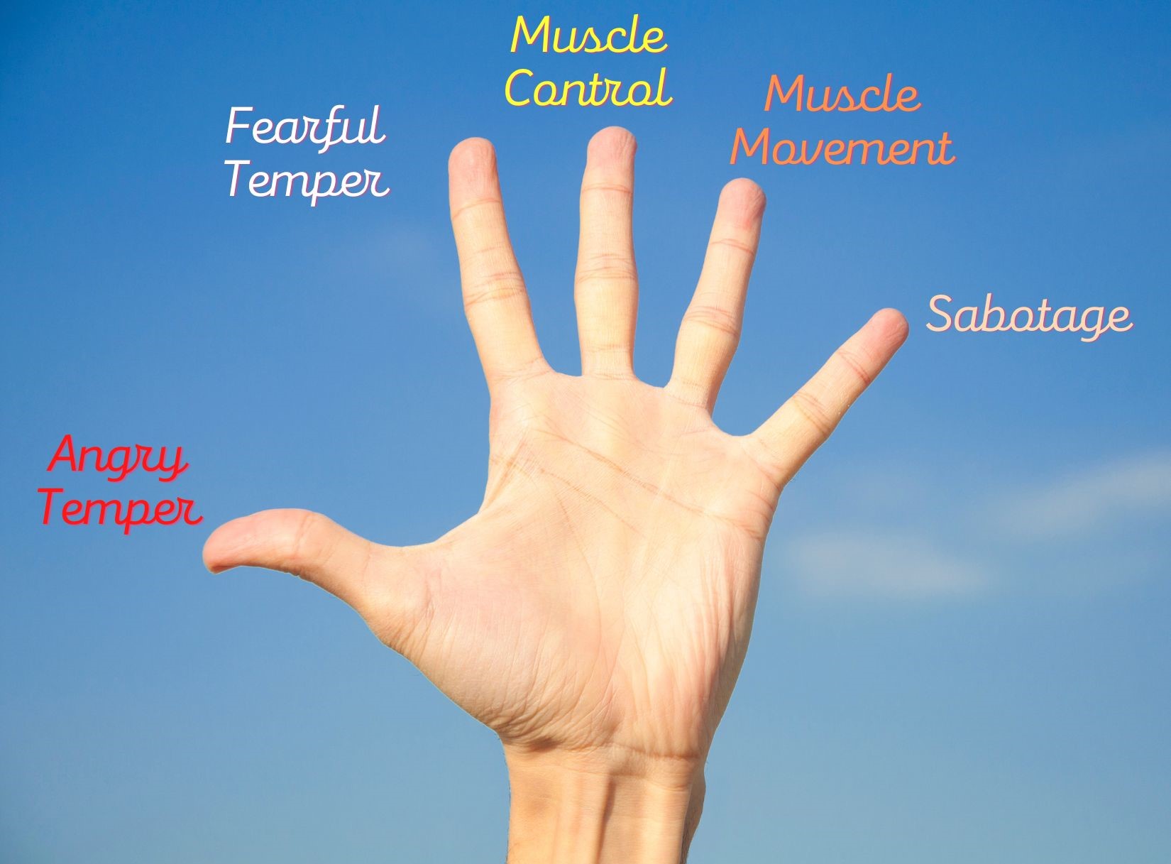 Trainings - Recovery International