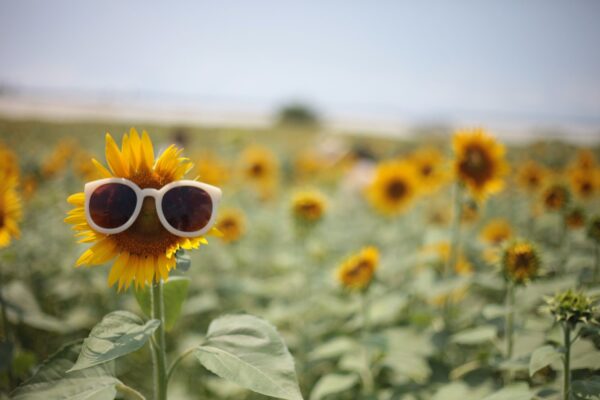 Summer 2024 - Recovery International